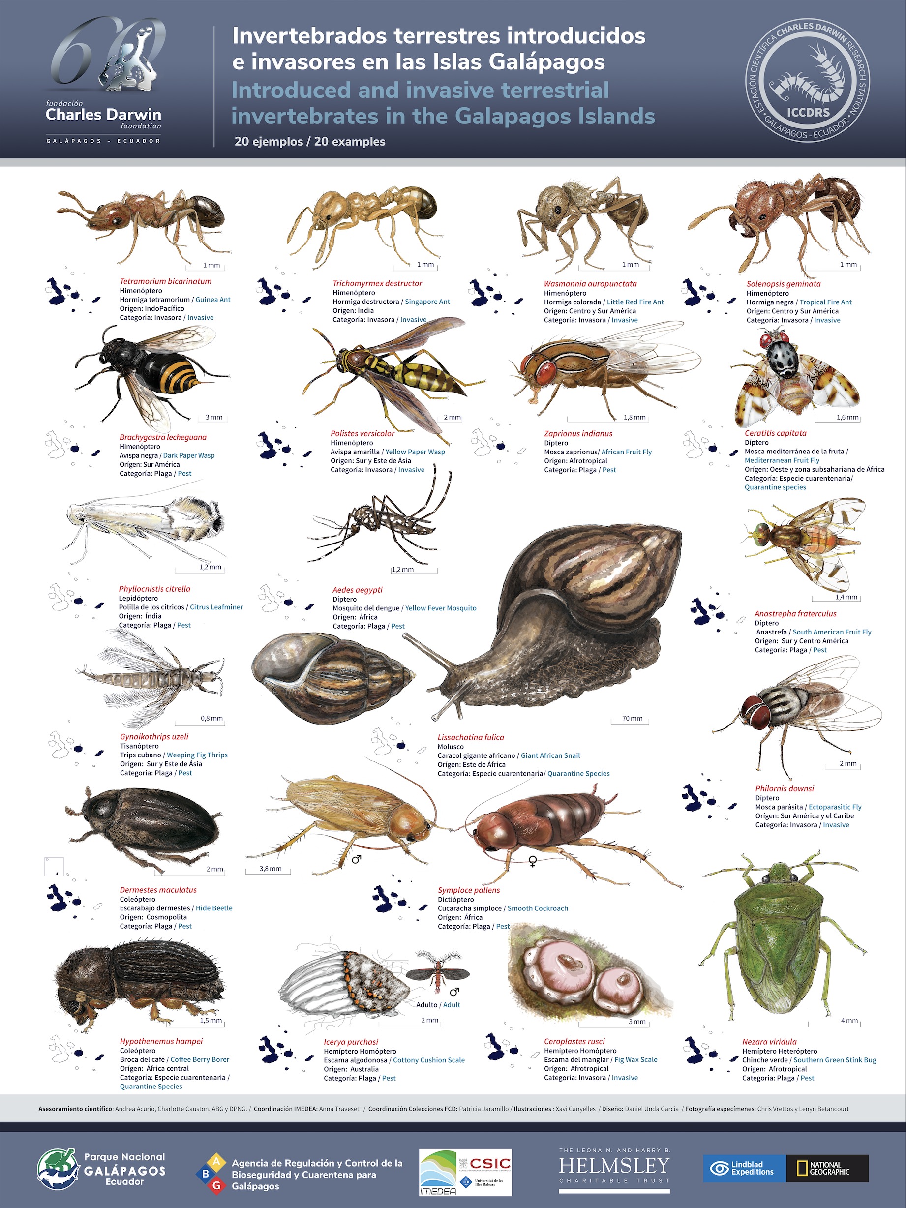 Field & Identification Guides - Charles Darwin Foundation