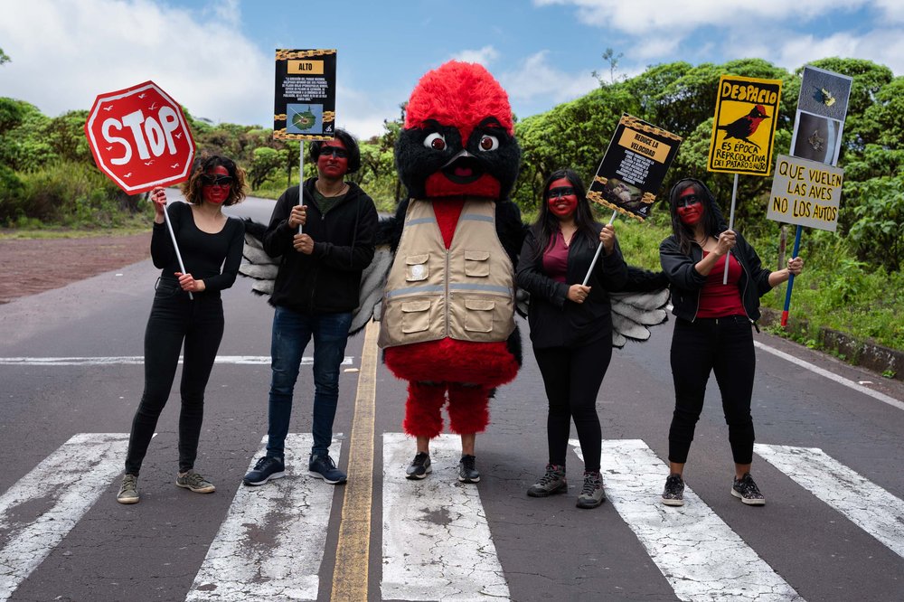 Education and Community Outreach - Charles Darwin Foundation